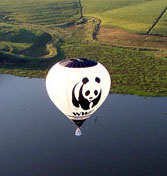 WWF-Brasil: 12 anos cuidando da natureza | WWF Brasil