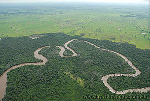 Comitê da Bacia do Rio Miranda realiza planejamento estratégico | WWF ...