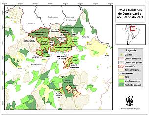 WWF-Brasil apóia criação de novas unidades de conservação no Pará | WWF ...