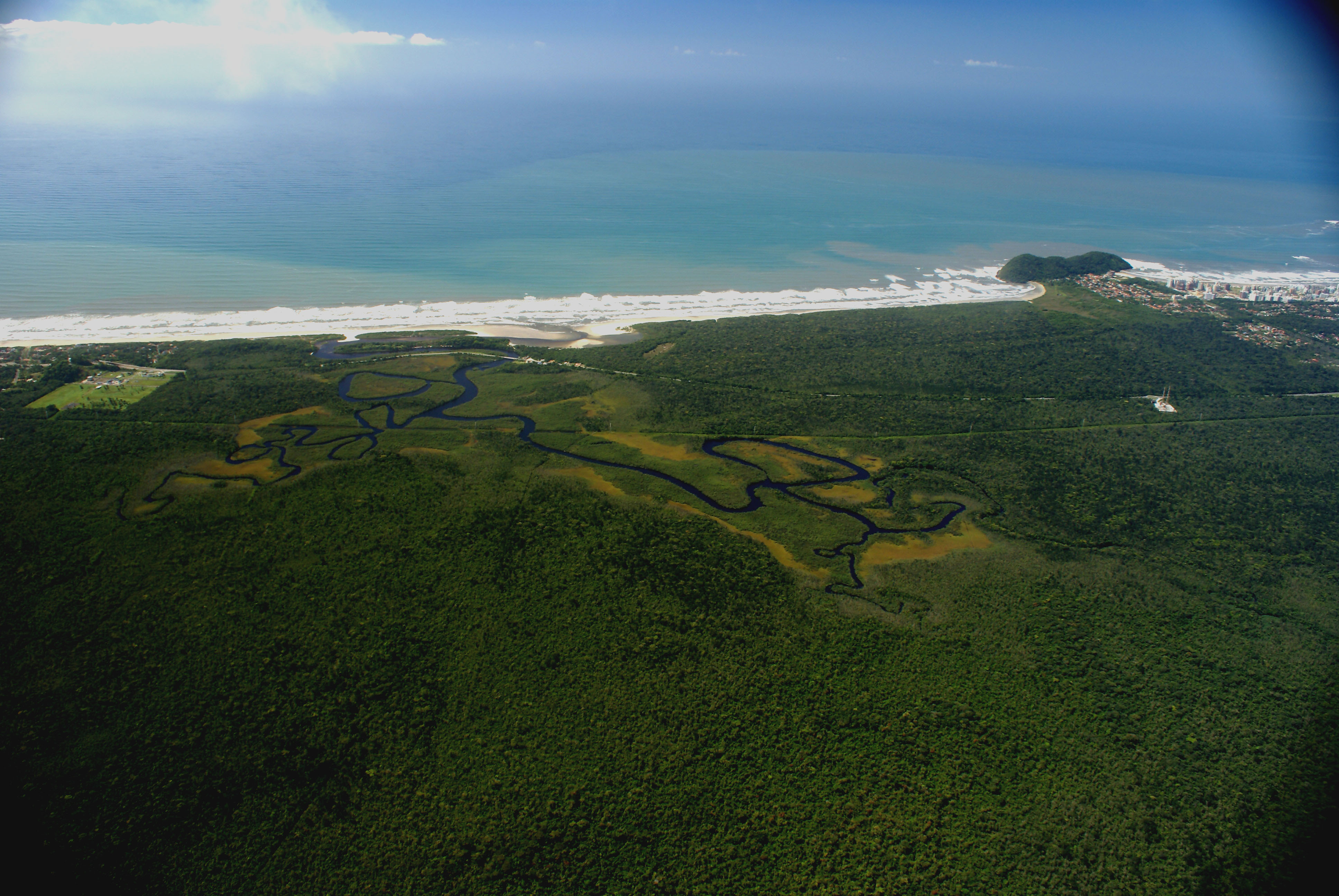Restinga paulista pode receber Unidade de Conservação | WWF Brasil