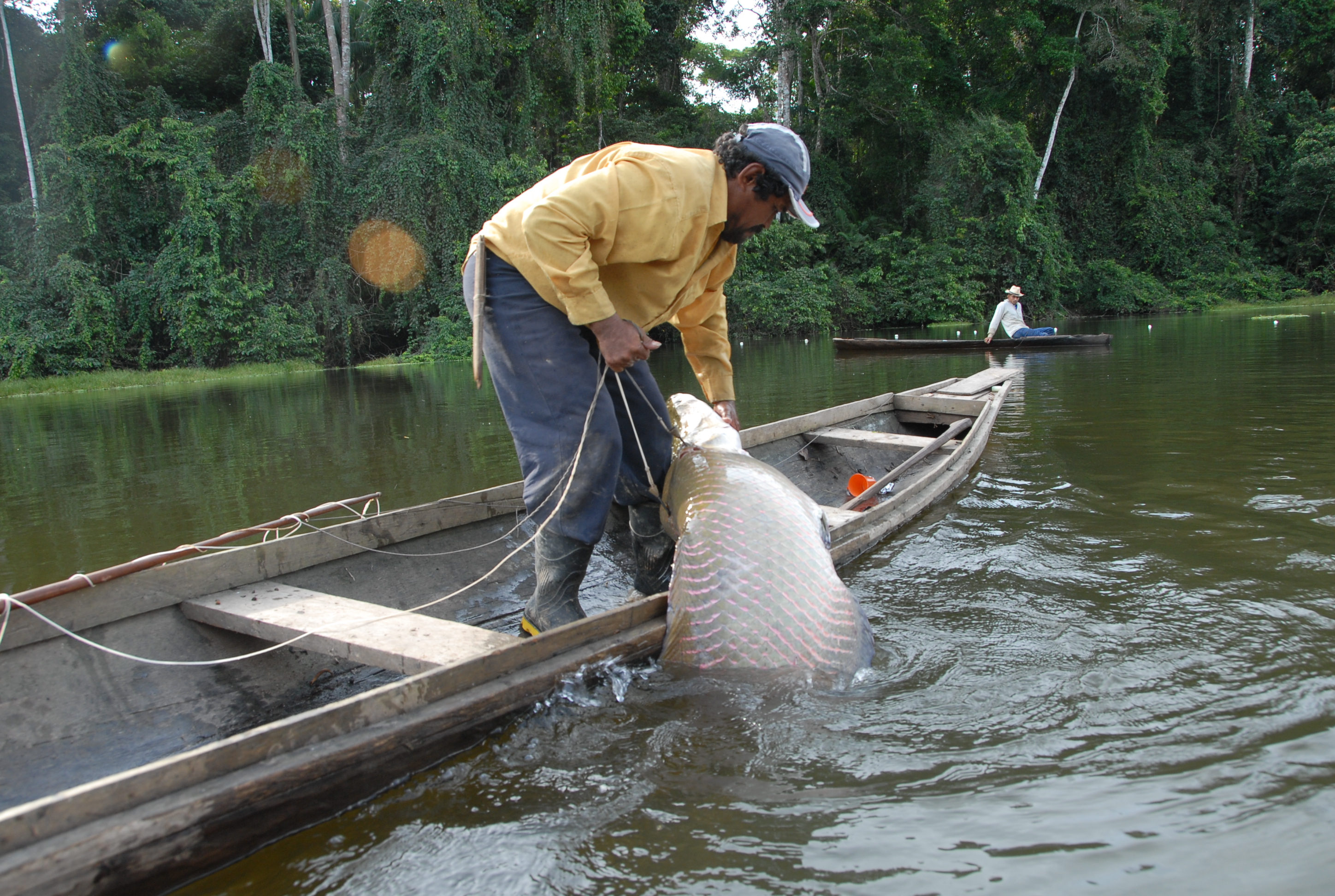 AQUAFISH: abril 2015