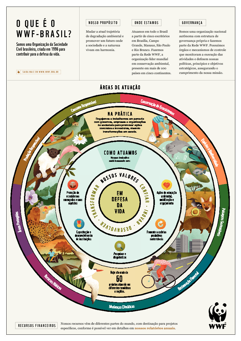 Transparência | WWF Brasil